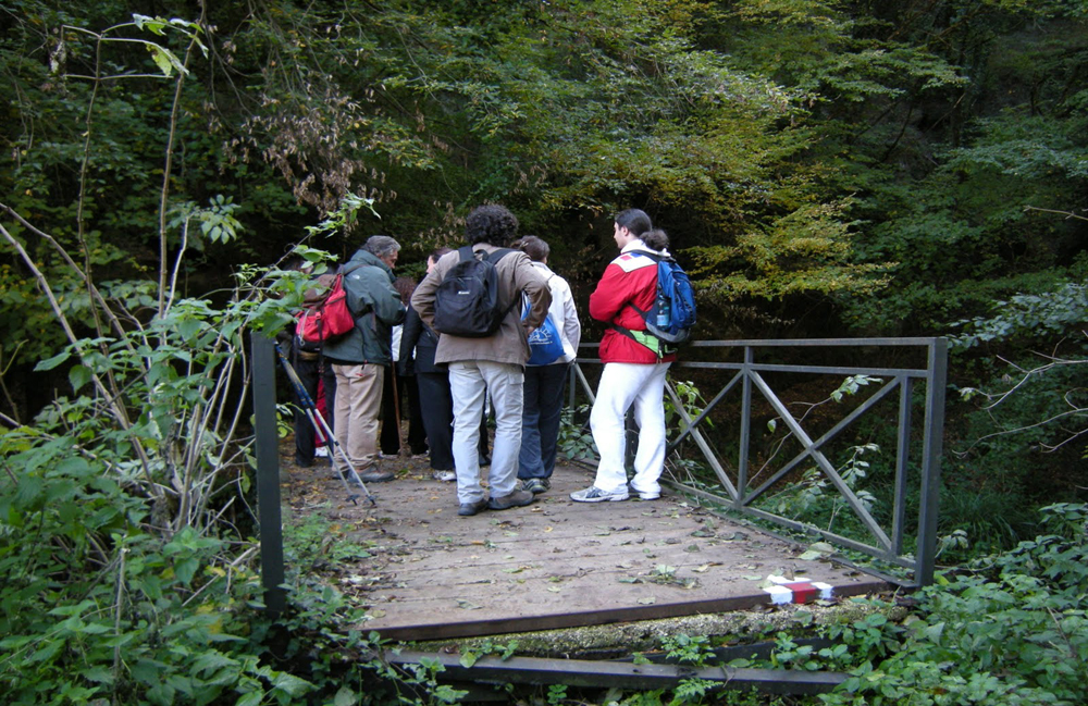 La Via Amerina sulla antica strada per Roma a fare trekking | TusciaUp